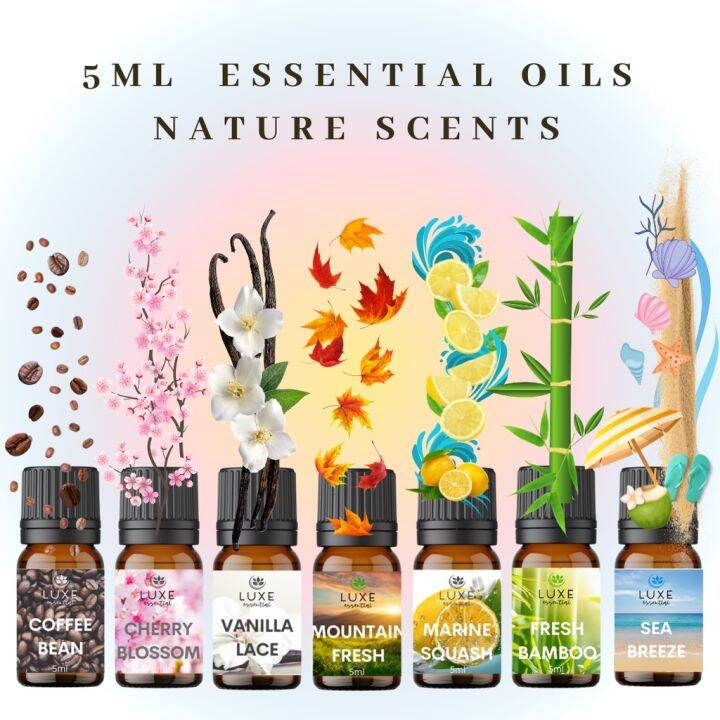 NATURE FRESH Luxe Essential Fragrance Oil Scent Air Humidifier | Lazada PH