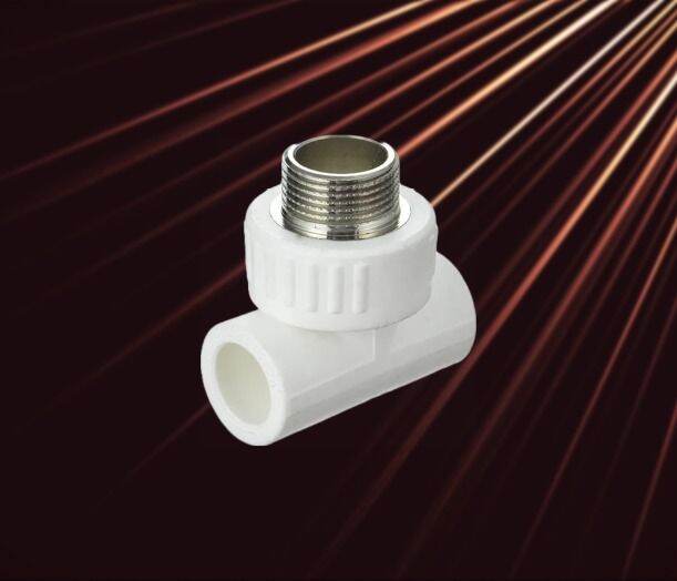 PPR MALE, FEMALE EQUAL TEE ADAPTOR | Lazada PH