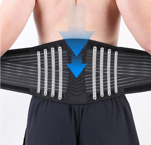 Lumbar Support/Back Brace for Lower Back/Waist Support With 8 Roots ...
