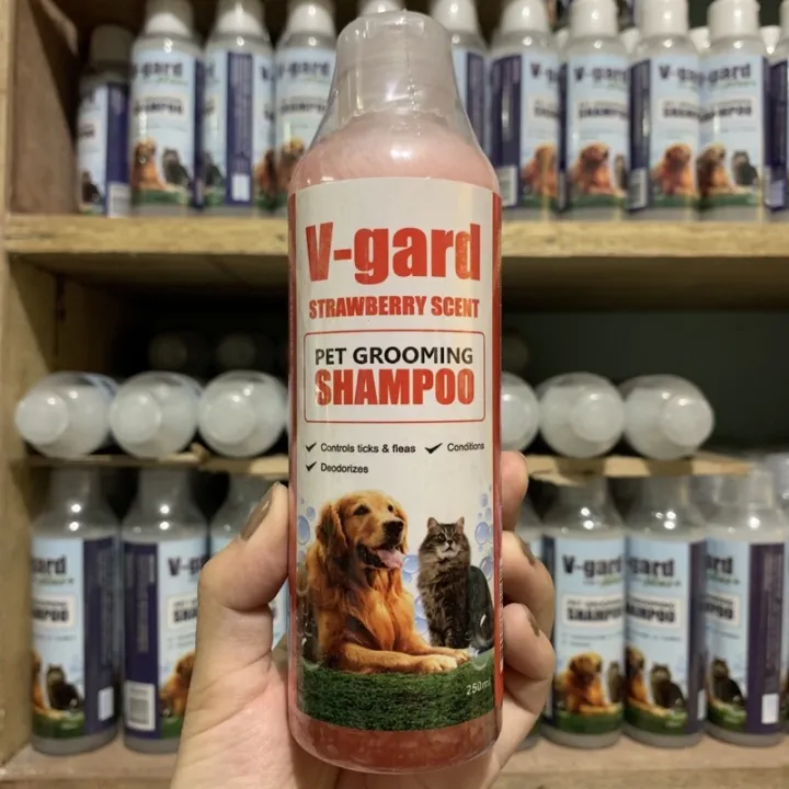 V-GARD STRAWBERRY SCENT PET GROOMING SHAMPOO | Lazada PH