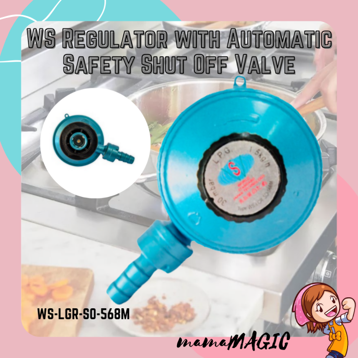 World Standard Snap On Low Pressure Regulator with Automatic Safety ...