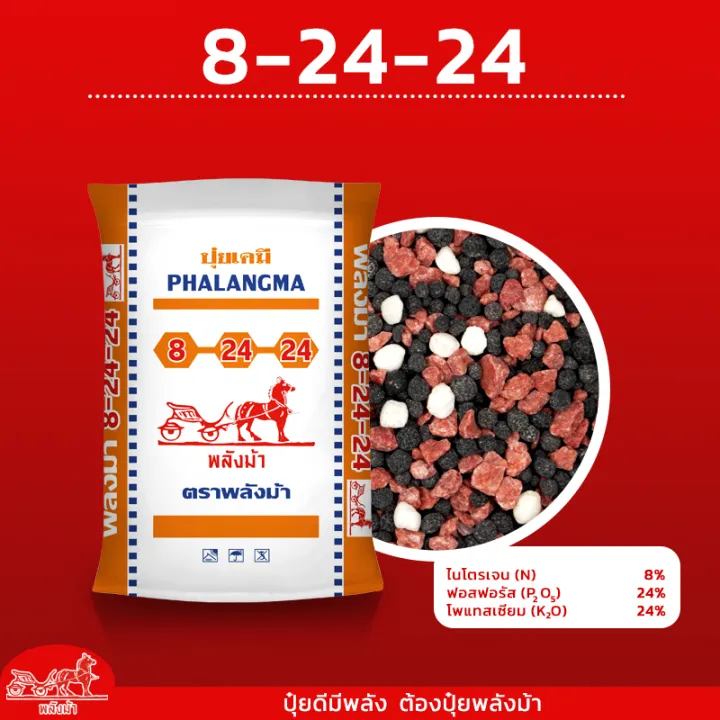 ปุ๋ยสูตร 8-24-24 ตราพลังม้า #ปุ๋ยเคมีตราพลังม้า #ปุ๋ยดี | Lazada.co.th