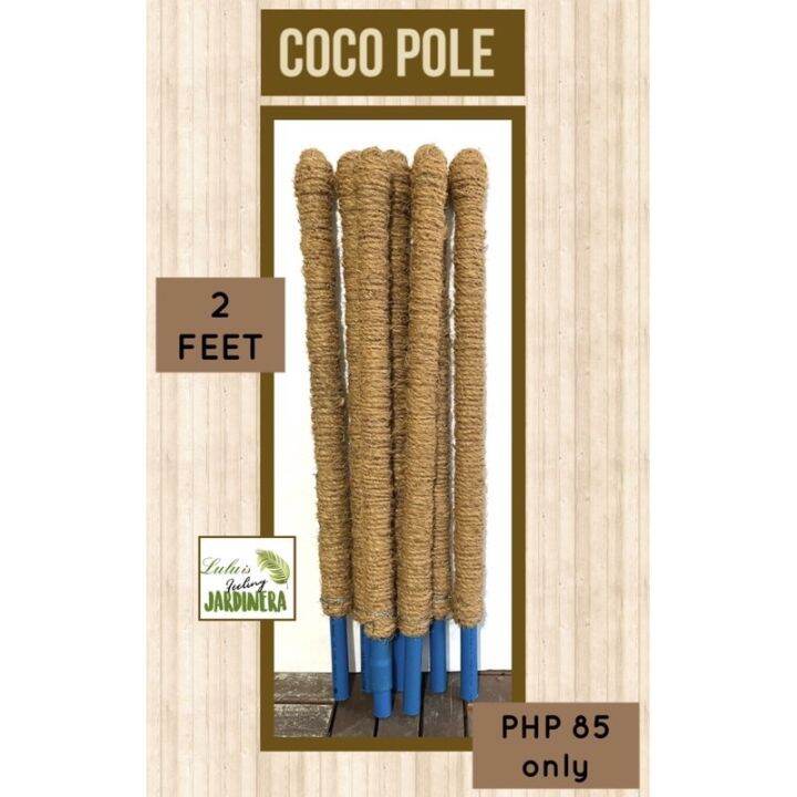 2FT Coco Pole for Plants / Plant Support Trailing | Lazada PH
