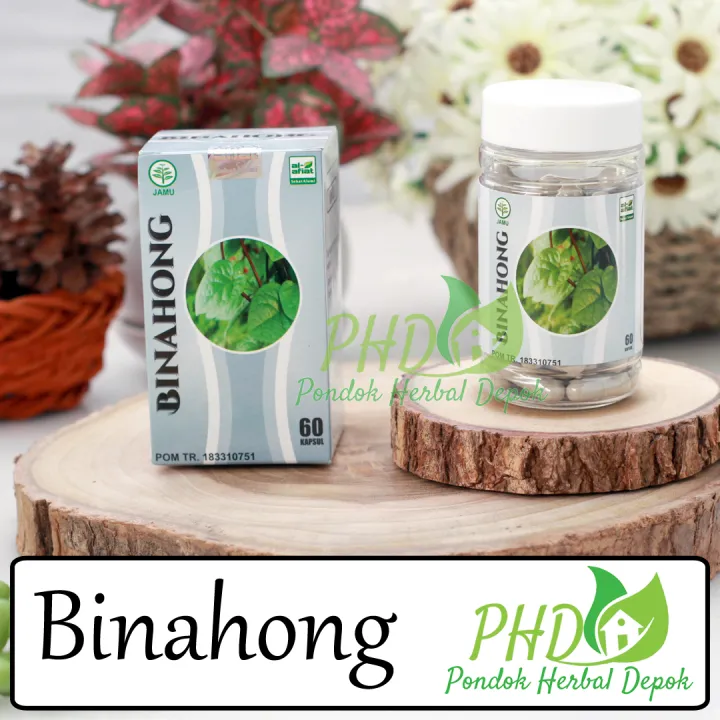 Al Afiat Binahong 60 Kapsul | Lazada Indonesia