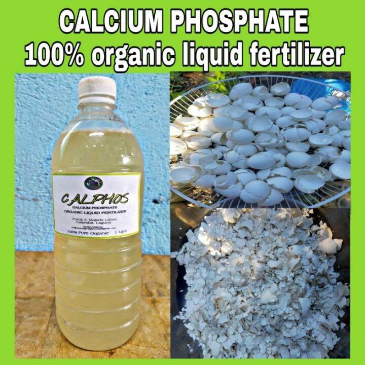 CALPHOS ( CALCIUM PHOSPHATE) BASAL FOLIAR APPLICATION | Lazada PH
