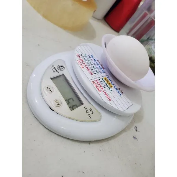 portable digital egg scale weighing scale white | Lazada PH