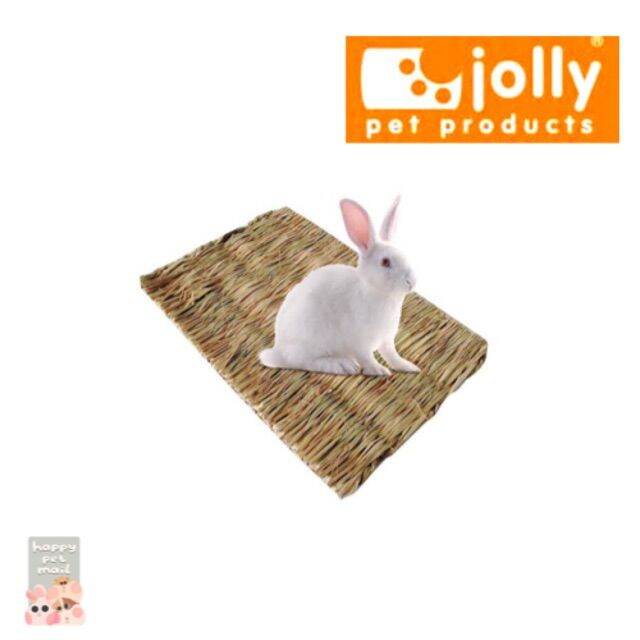 Jolly Hay Mat For Rabbits and Guinea Pigs | Lazada PH
