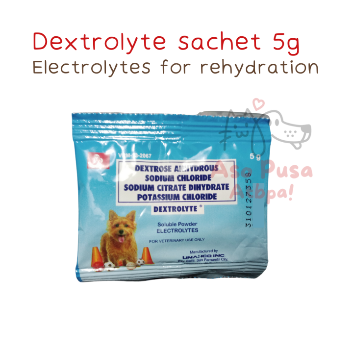 1 sachet Dextrose Powder Dextrolyte Sachet 5g for Pet Dogs & Cats ...