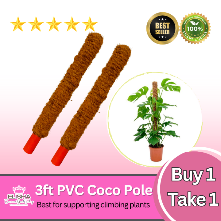 🌱 BUY 1 TAKE 1 | 3ft PVC Coco Pole Made of PVC Coco Fiber and Coco Rope ...