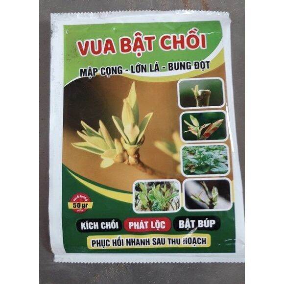 Vua bật chồi gói 50gr kích chồi bật chồi bật lộc | Lazada.vn