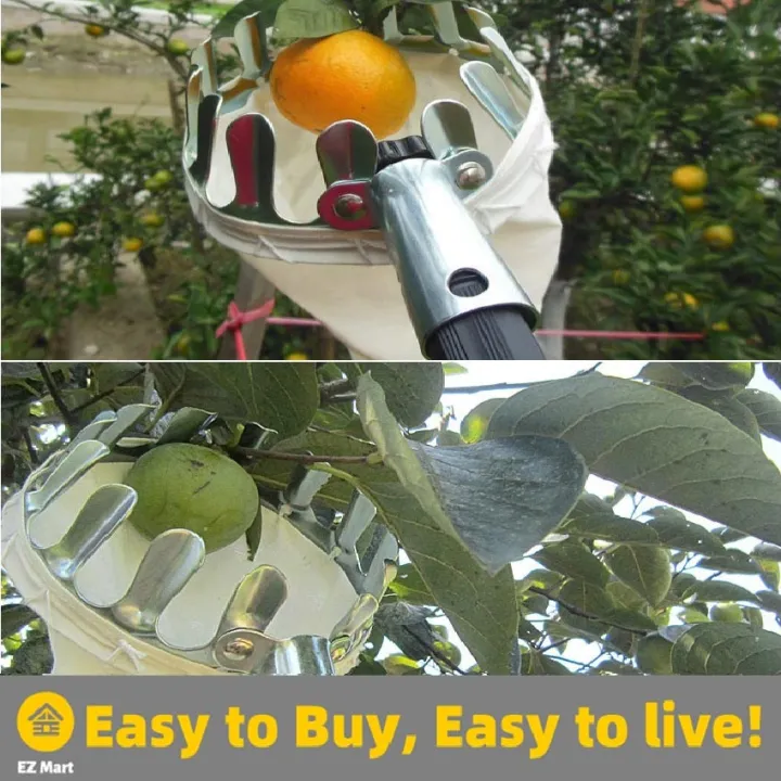 Fruit Picker Orchard Gardening Apple Peach High Tree Picking Tools ...