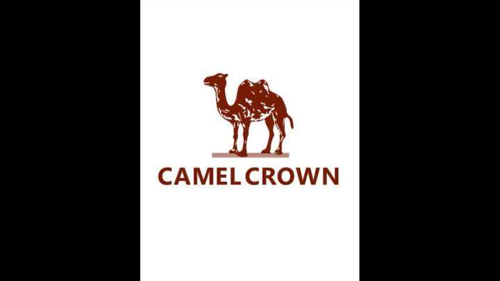 HOT”CAMEL CROWN กระเป๋าเป้สะพายหลัง ความจุเยอะ 30 ลิตร เหมาะกับการพกพาเดินทาง เล่นกีฬา ปีนเขา ...