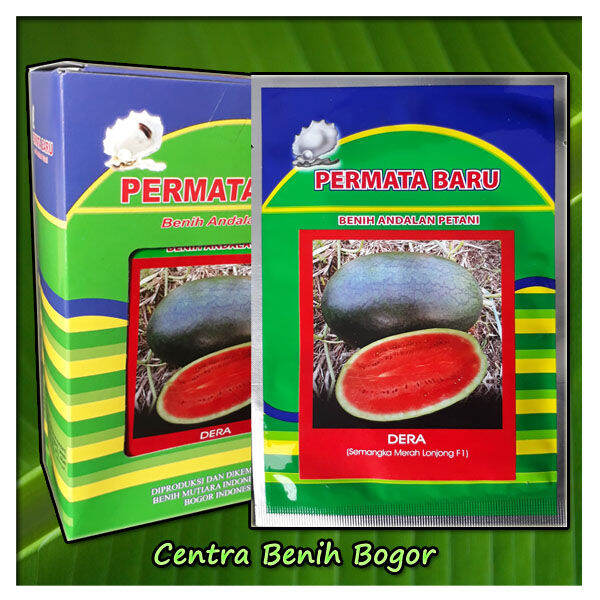 BENIH SEMANGKA INUL F1 DERA ISI 10GR - BIBIT SEMANGKA INUL UNGGUL ...