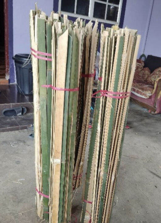 Malaysia Stock 27 BULUH PANCANG untuk tegakkan pokok/ 110cm buluh ...