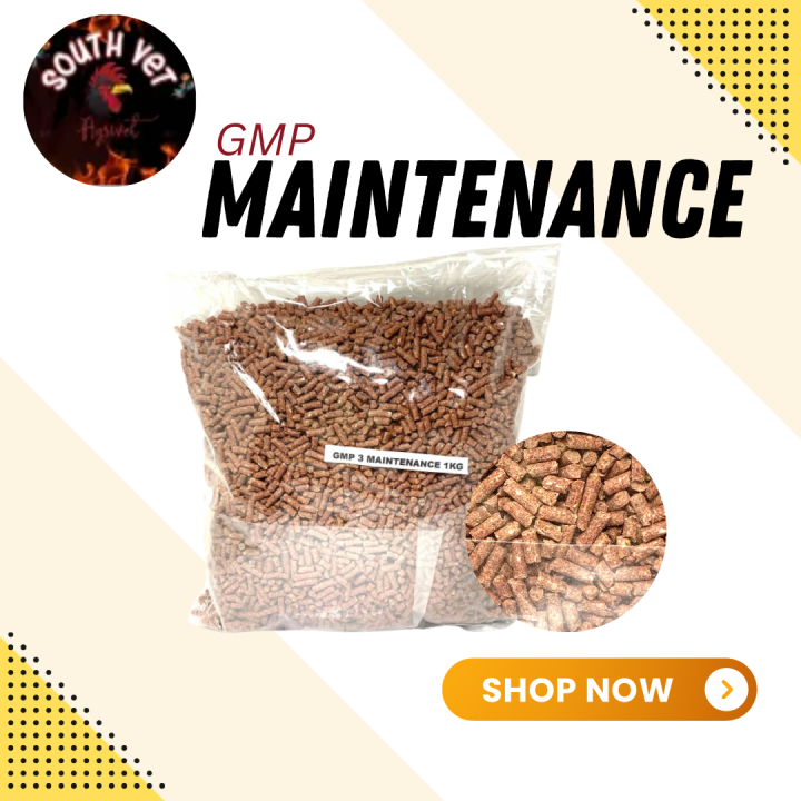 [SOUTH VET II] 1kg GMP Maintenance 4 months and up for Gamefowl Fighting Cocks / Repacked 1kg ...