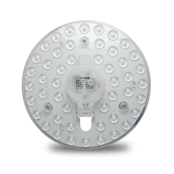 Ledlightsmnl 24 Watts Ceiling lamp light replacement | Magnetic ...