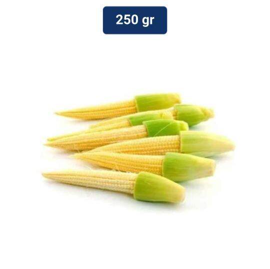 Jagung Acar/ Putren/ Baby Corn 250 gr | Lazada Indonesia