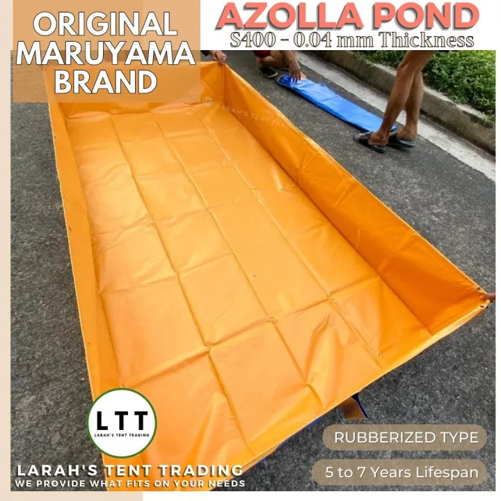 TRAPOND FOR SALE! 8x3x2FT HIGH QUALITY AZOLLA BEDS AND AZOLLA POND ...