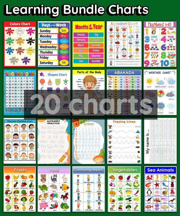 Bundle of 20 Laminated Educational Charts for Kids (A4-size) alphabet ...