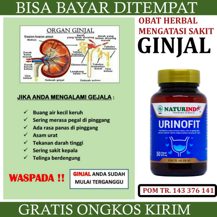 URINOFIT 50 KAPSUL NATURINDO OBAT HERBAL GINJAL , ISK, PENGHANCUR BATU GINJAL, SAKIT PINGGANG ...