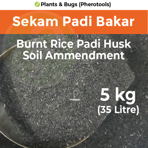 5KG Sekam Padi Bakar (Burnt Rice Padi Husk Ash) (35-40 Litre) SOIL ...