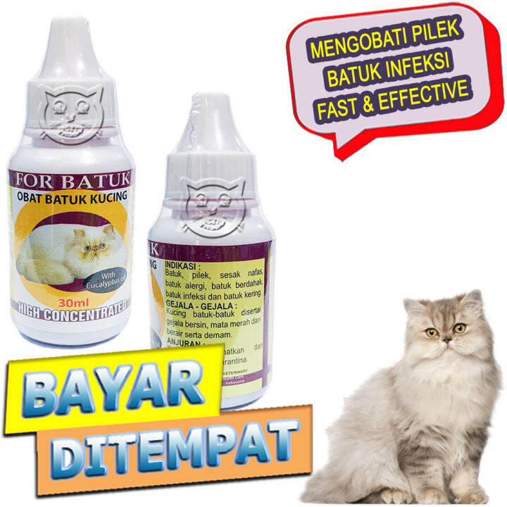 For Batuk High Concentrated Obat Batuk Pilek Kucing | Lazada Indonesia
