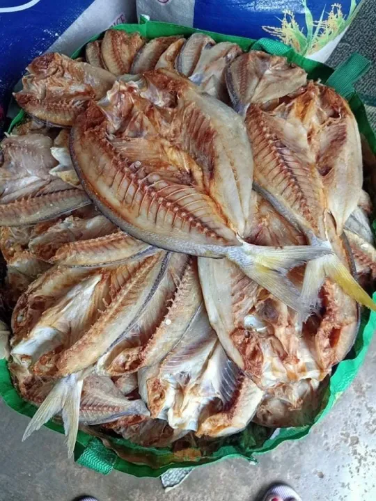 Daing Isdang Bato Fried Fish From Palawan | Lazada PH