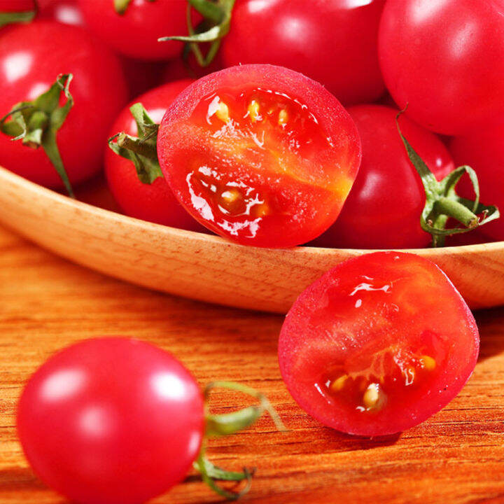 [Easy To Grow] Biji Benih Tomato Red Cherry Tomato Seeds (100 seeds/bag ...