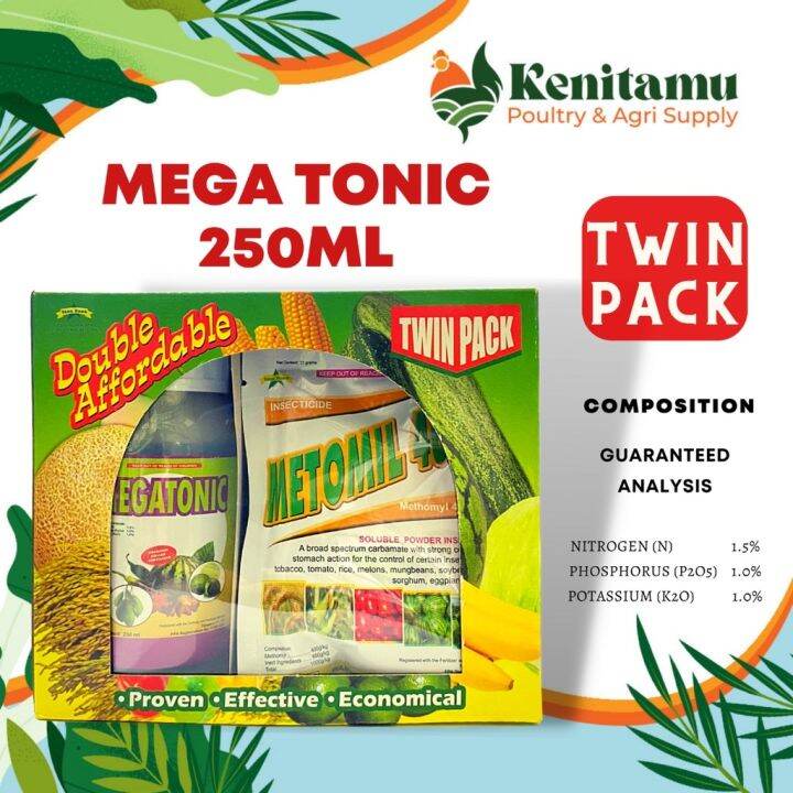 MEGA TONIC TWIN PACK 250 ML | Lazada PH