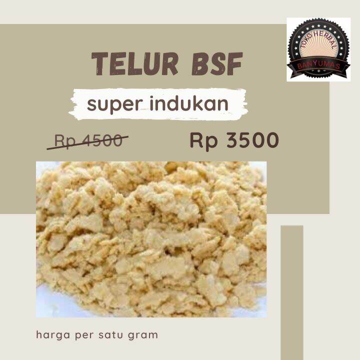 TELUR BSF BERKUALITAS | Lazada Indonesia