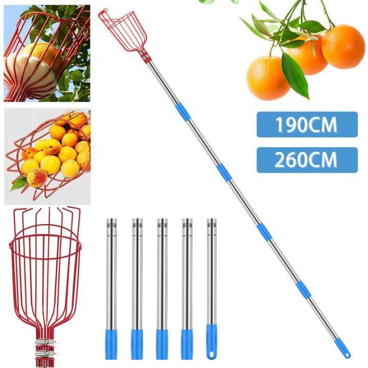 Fruit Picker Stick with Telescoping Pole Stainless Steel Fruit Picker ...