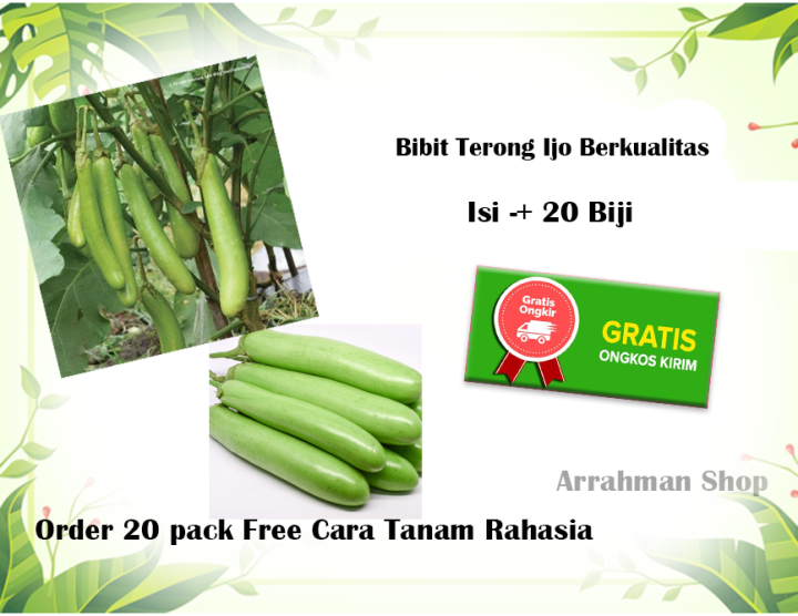 Benih Terong Hijau Panjang - Bibit Terong Ijo - Bibit Terong Hijau ...