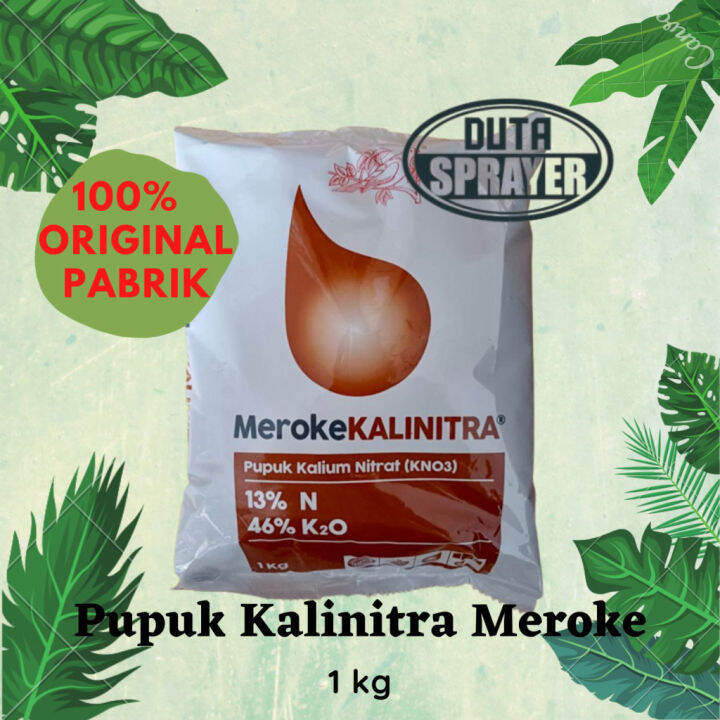 MEROKE Pupuk Kalinitra 1kg - Kemasan Pabrik 1 kg | Lazada Indonesia