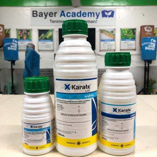Karate Insecticide 1000mL | Lazada PH