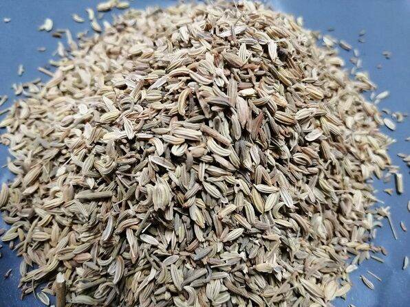 Jintan Manis (500g Pack) | Lazada