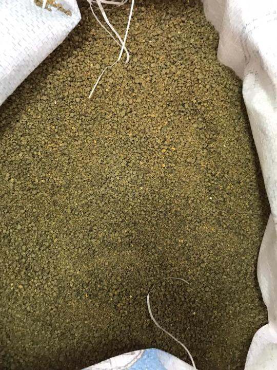 GOLD COIN BROILER STARTER 201C (CRUMBLE) 2KG | Lazada