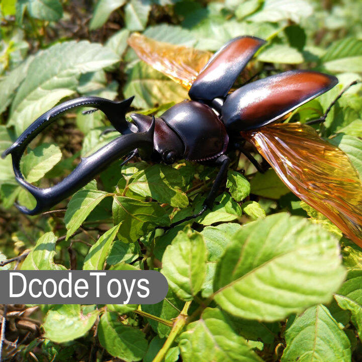 1/1 Size Bandai Gashapon Stag Beetle 2 Insect action figure - boy girl ...