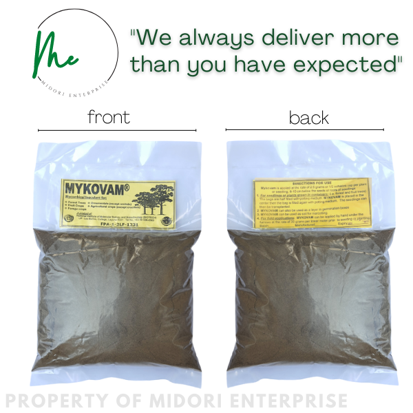 Mykovam biofertilizer arbuscular mycorrhizal inoculant (endomycorrhiza ...
