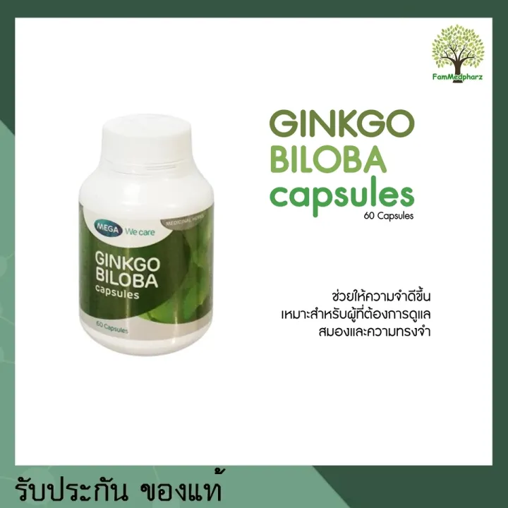Mega Ginkgo Biloba Extract 40 mg (60 แคปซูล) เมก้า วี แคร์ จิงโก สาร ...