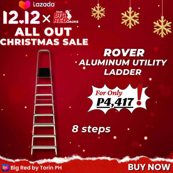 Rover Aluminum Utility Ladder | Lazada PH