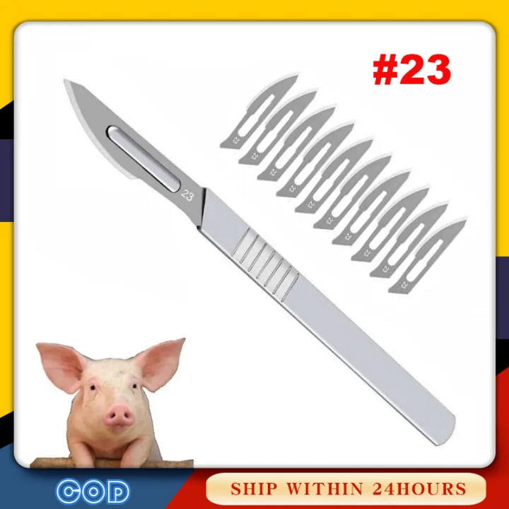 10Pcs Pig Surgical Blade with 1 Handle for piglets castration tools ...