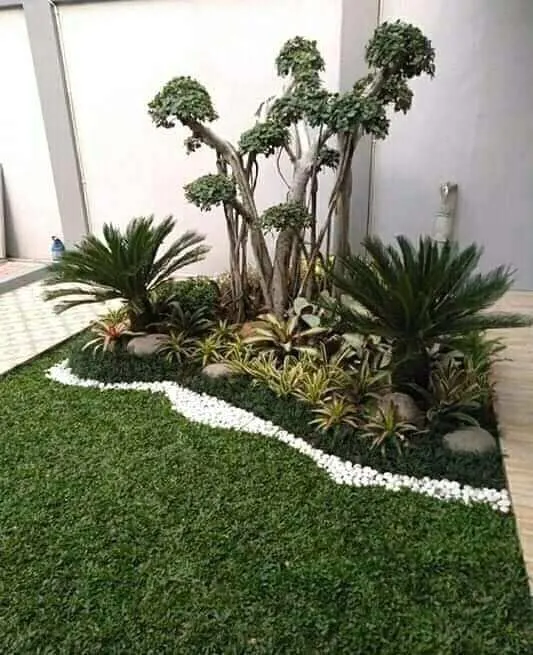 Taman rumput halaman depan | Lazada Indonesia