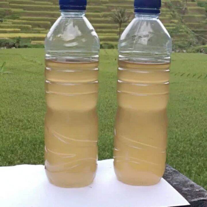 Jual air manis air nira fresh atau air enau aren/250 ml | Lazada Indonesia
