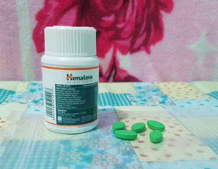 Himalaya Nefrotec Vet Tablet Kidney Supplement for dogs and cats 1 pc ...