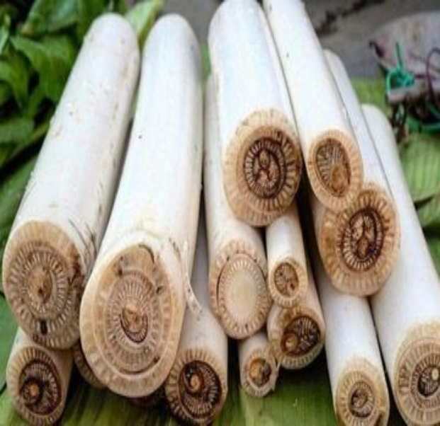 Umbut Pisang Hutan 5 kg | Lazada