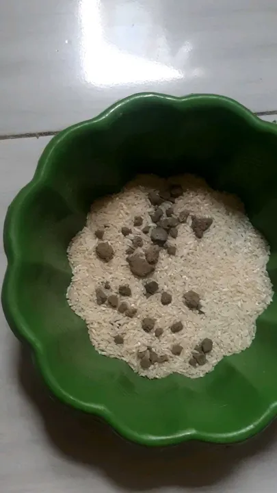 magnet batu beras N52 type terkuat 12000gauss 32x16mm | Lazada Indonesia