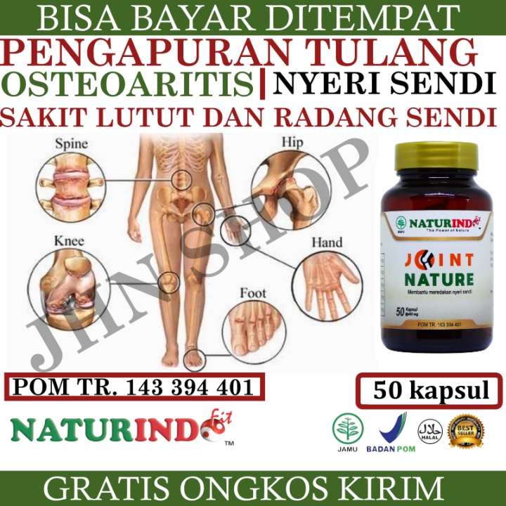 JOINT NATURE - OBAT HERBAL PENGAPURAN TULANG, NYERI SENDI, SAKIT LUTUT ...