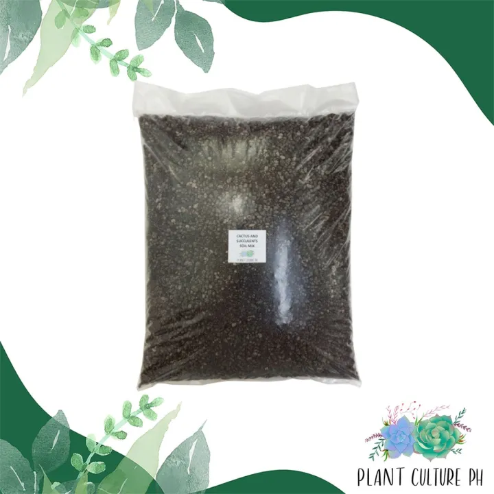 Cactus and Succulents Basic Soil Mix | CNS Soil Mix | Lazada PH