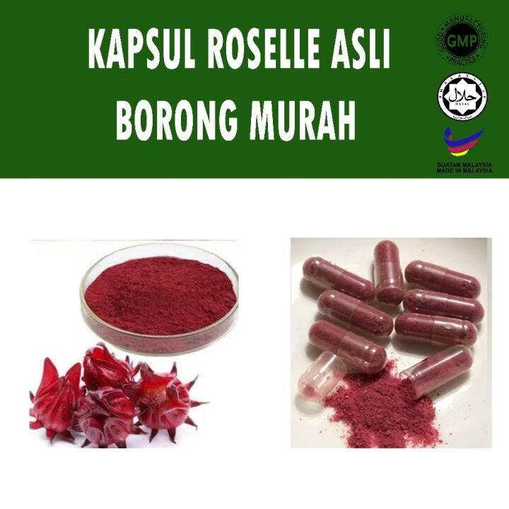 Roselle Kapsul 100 Capsule 100% Original *Direct Factory | Lazada