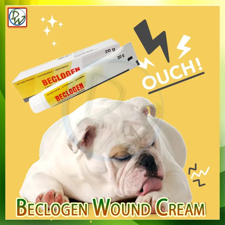 Beclogen Wound Cream Antibacterial Pet Triple Action Cream 20g | Lazada PH